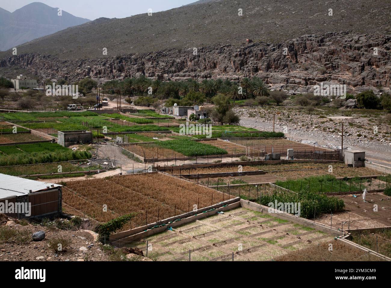 wadi ghul hajar mountains al hamra oman middle east Stock Photo - Alamy