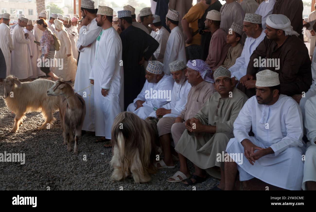omani men and goats at nizwa livestock market nizwa oman middle east ...