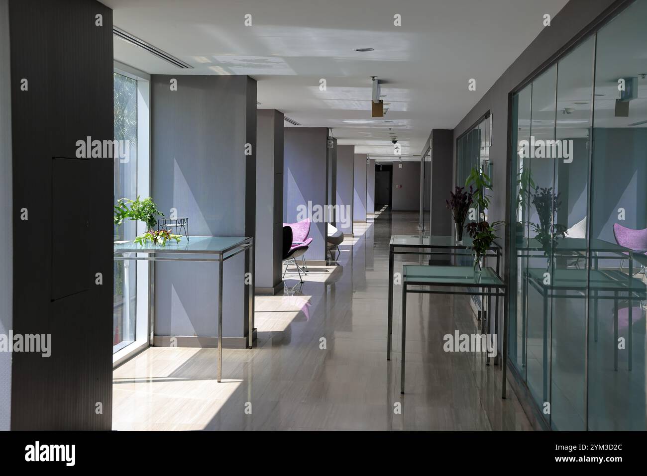 The beautiful and modern corridor or hallway of modern building. Cozy ...