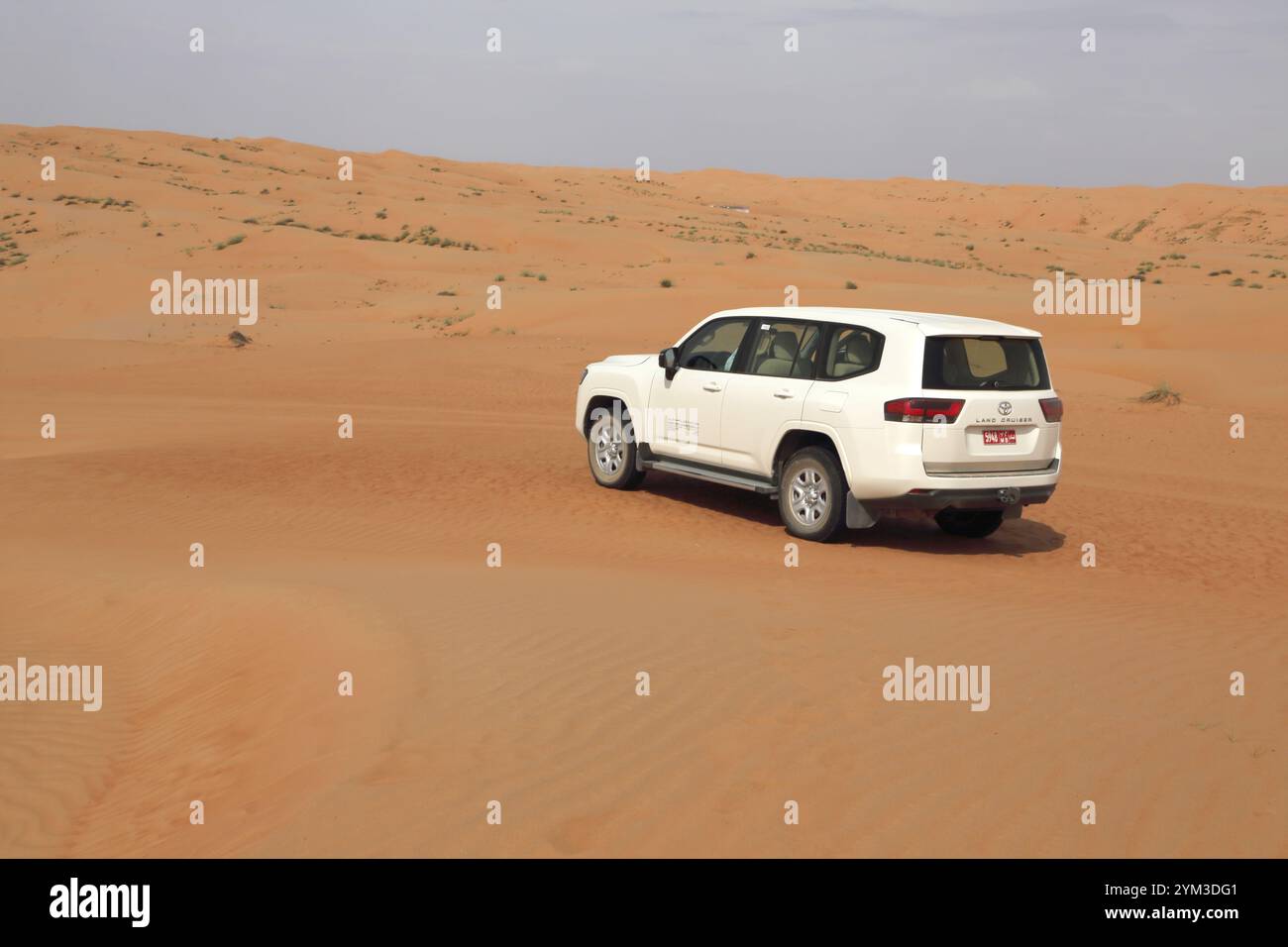 Four Wheel Drive Vehicle Wahiba Sands Desert Oman Stock Photo - Alamy