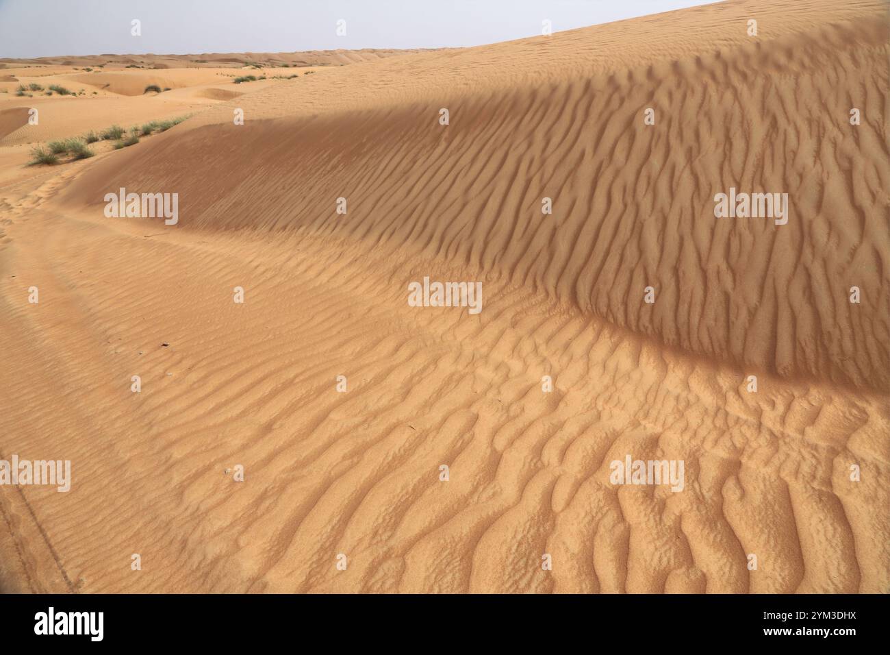 Sand Dunes at Wahiba Sands Desert Oman Stock Photo - Alamy