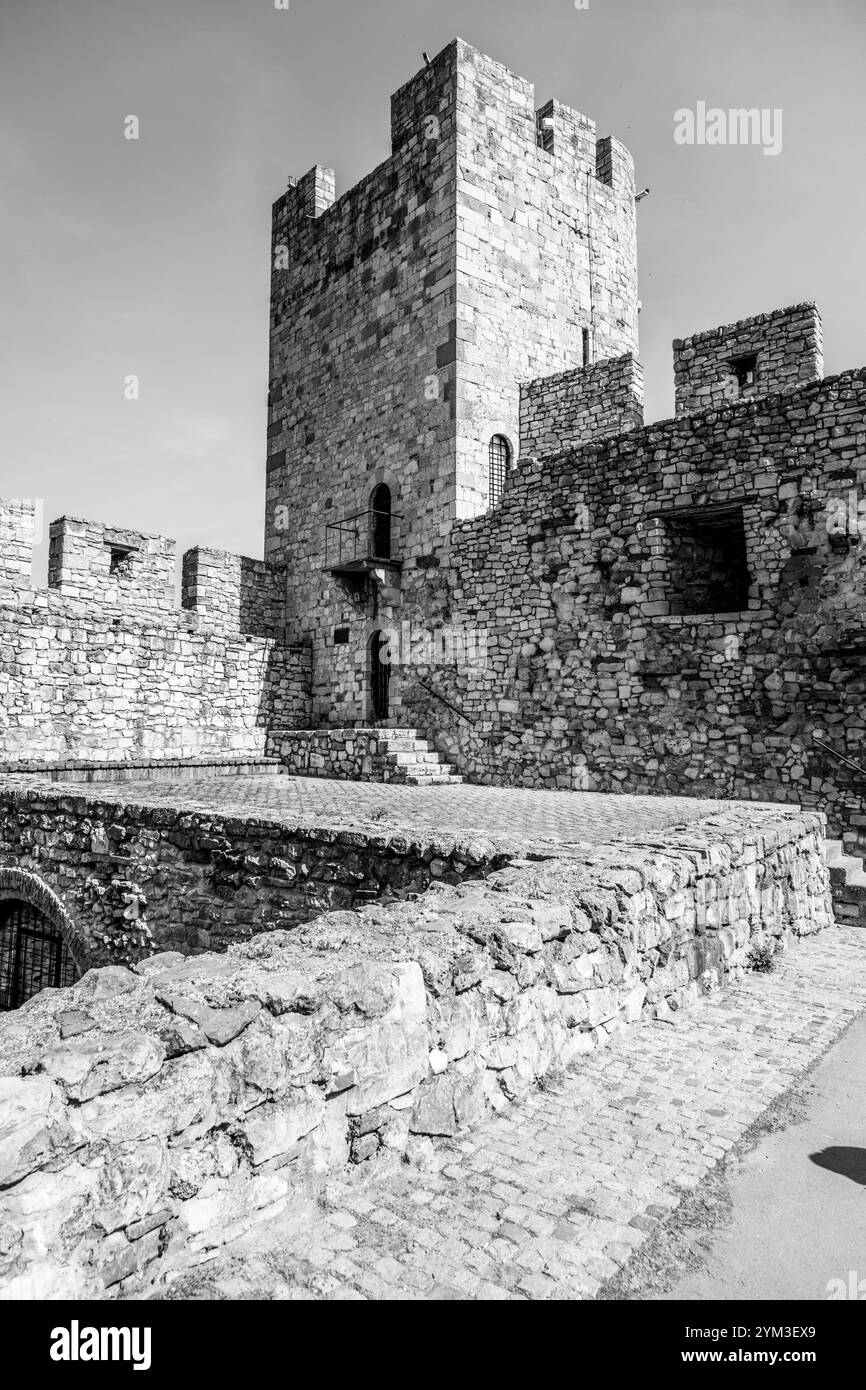 Dizdar Tower stands tall within the historic Belgrade Fortress complex ...