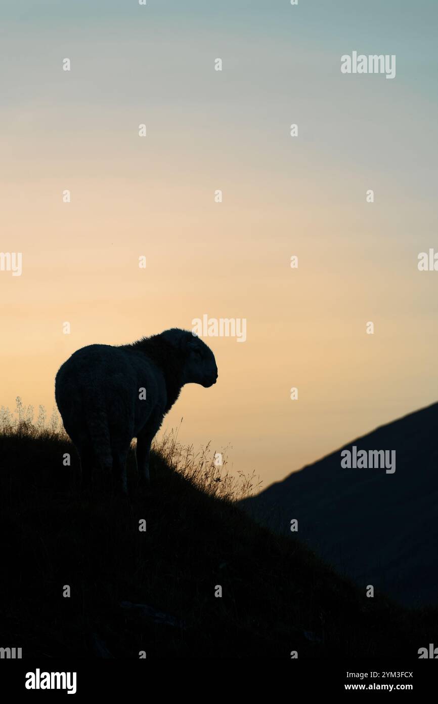 Rhyd ddu village hi-res stock photography and images - Alamy