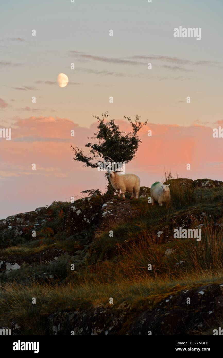 Rhyd ddu village hi-res stock photography and images - Alamy