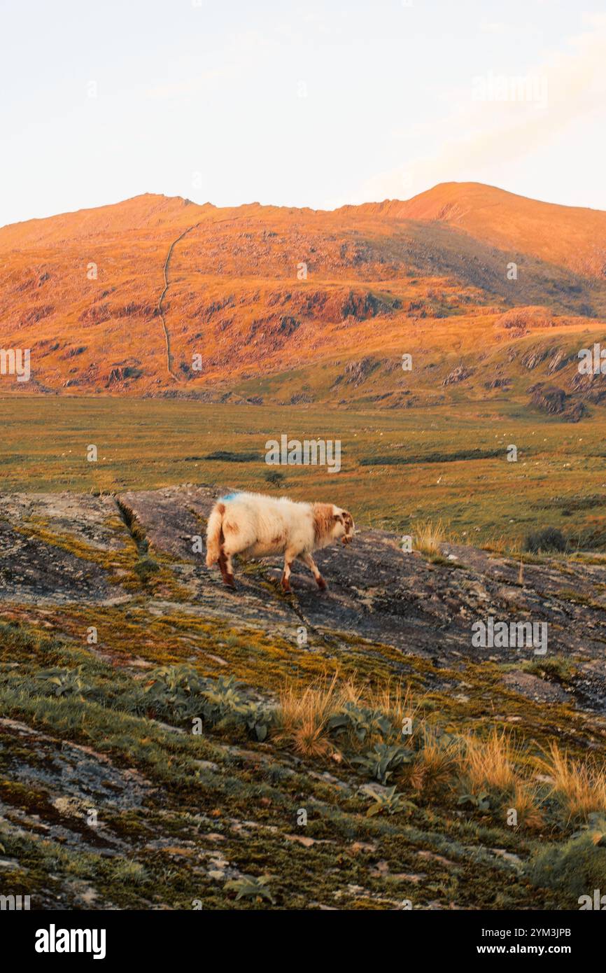 Rhyd-Ddu sunset / sunrise Stock Photo - Alamy