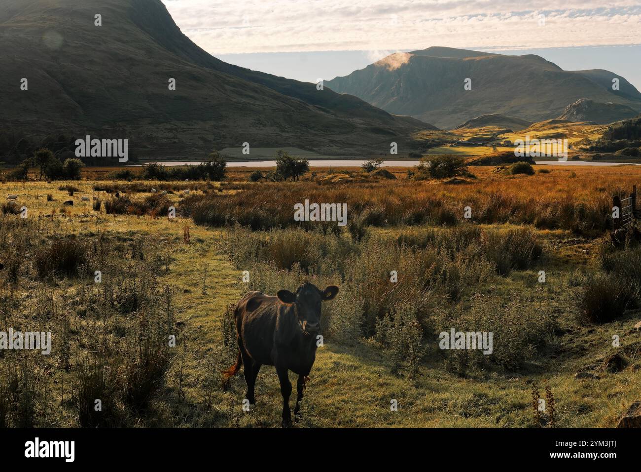 Rhyd ddu village hi-res stock photography and images - Alamy