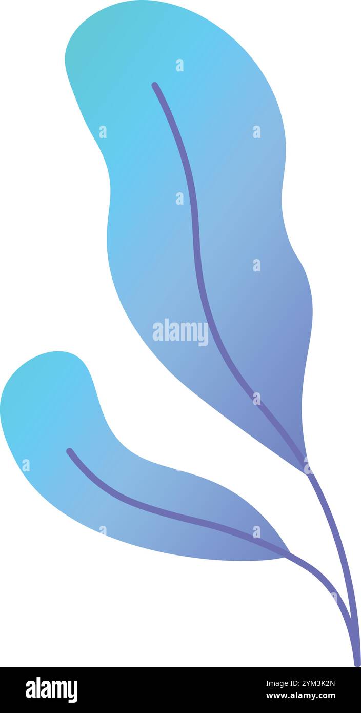 Two blue and cyan leaves with purple veins are growing together on a ...