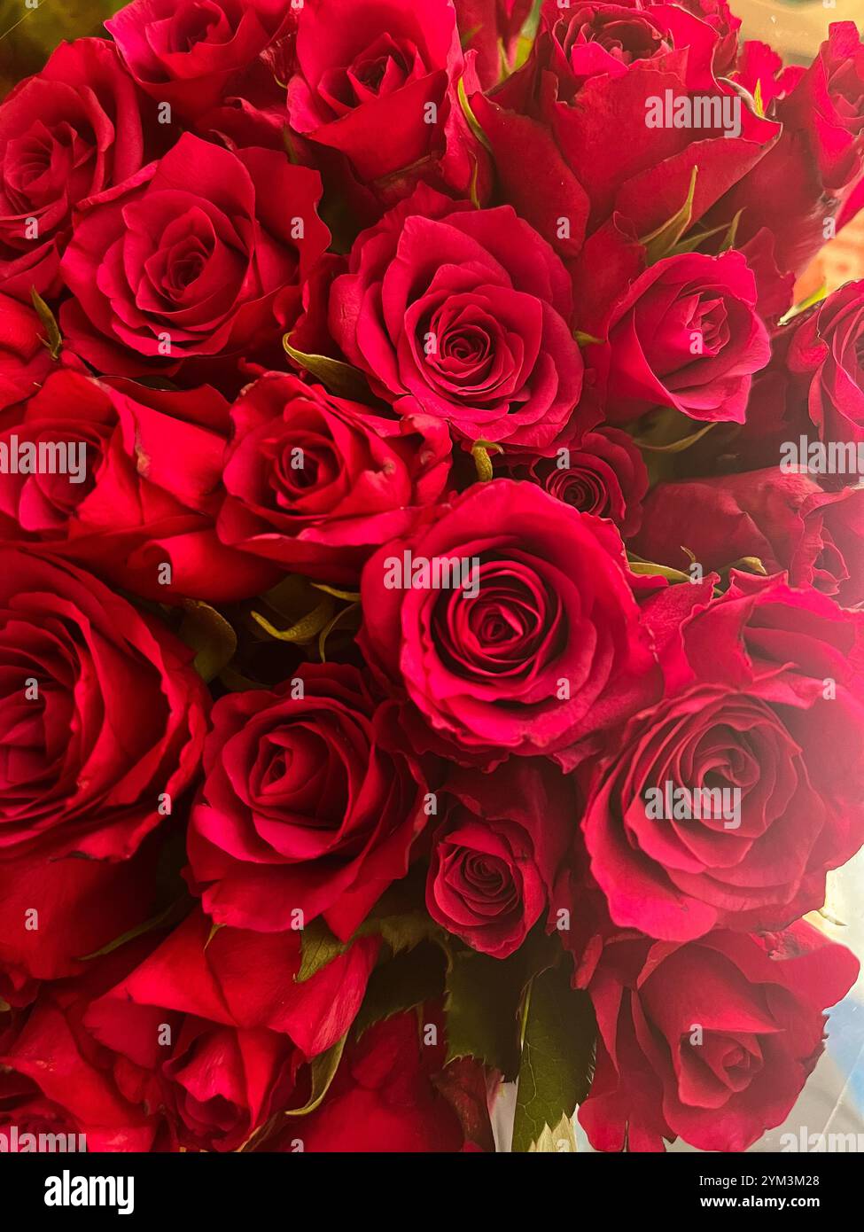 Bouquet of red roses. Beautiful background Stock Photo - Alamy