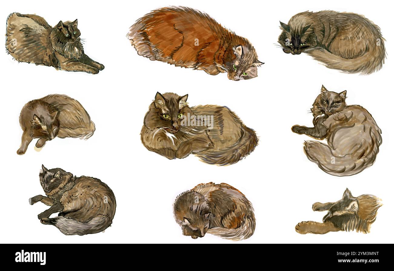 Realistic Pet Marker Drawings Incredibly Realistic Dog Pet Portraits