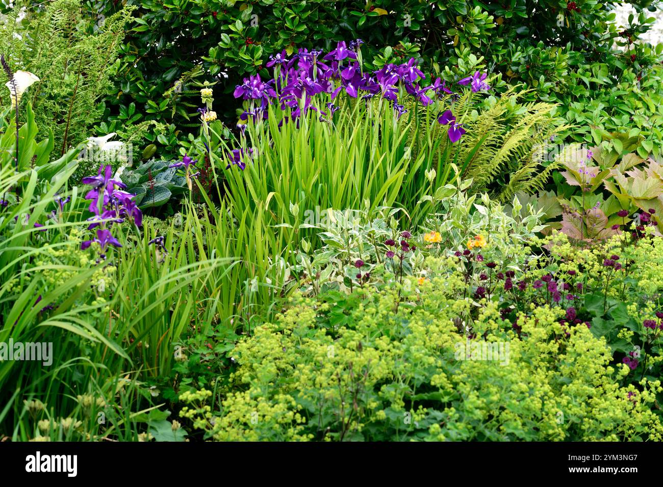 Lime Green And Purple Flowers Purple, Lime & White Posy Pad Funeral