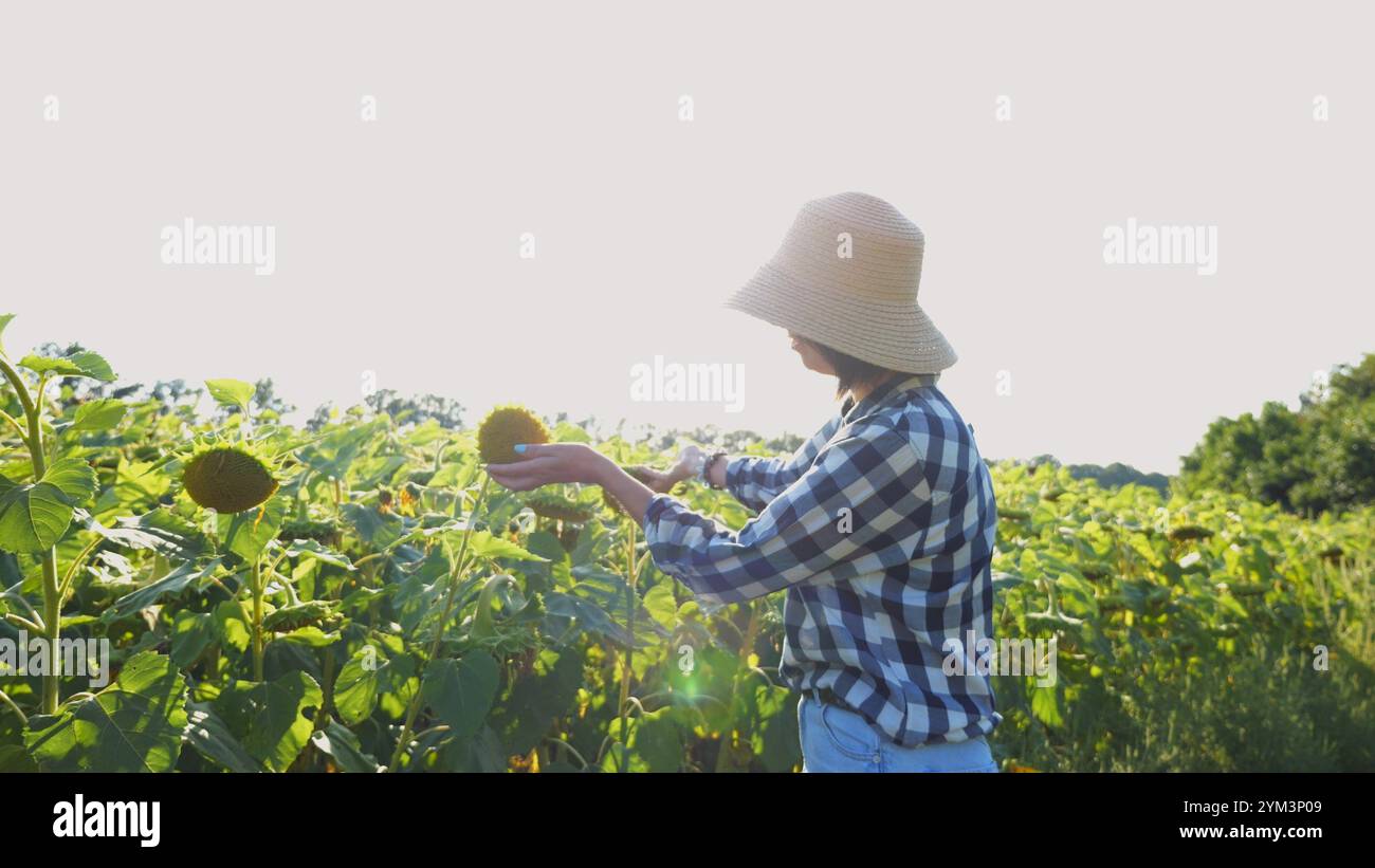 Female agronomist exploring plants hi-res stock photography and images ...