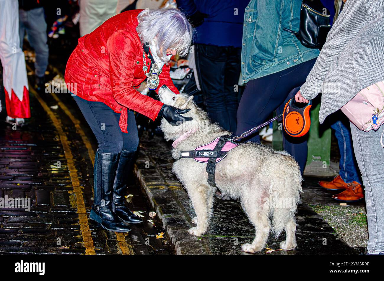 Crowds gather for the annual Stirling Christmas light switch on event ...