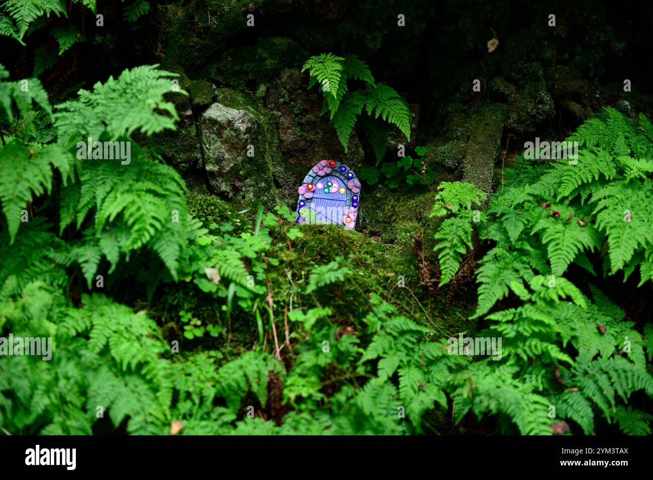 fairy door,fairy,fairies,house,houses,home,homes,garden,decoration ...