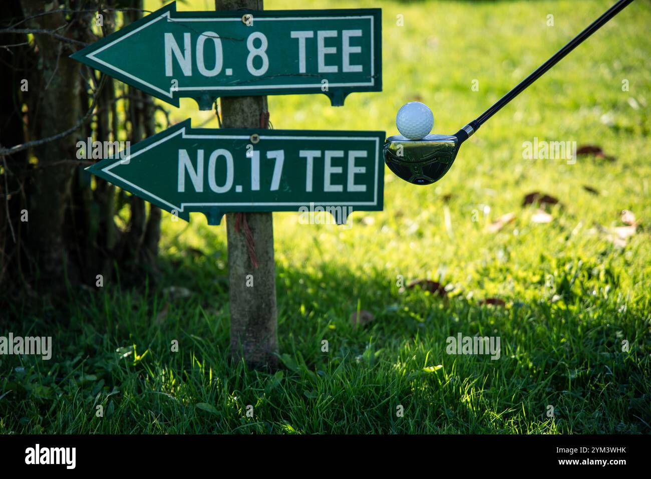 closeup golf ball resting on a club positioned next to signs indicating ...