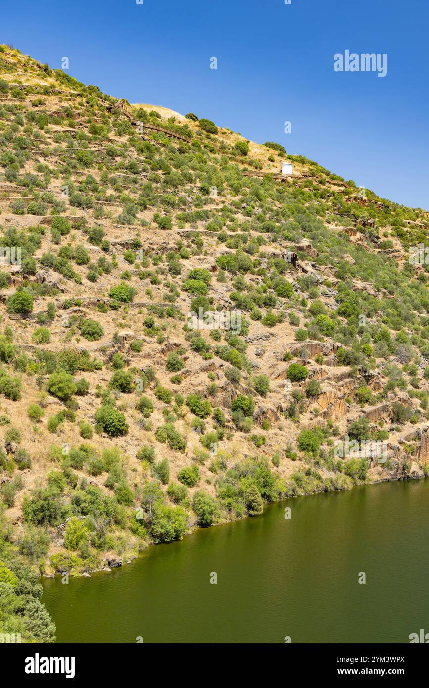 Parque Arqueologico Vale do Coa (Coa valley), UNESCO site, paleolithic ...