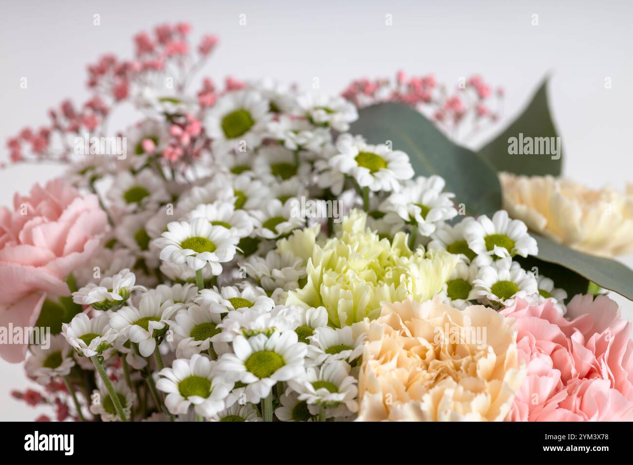 romantic flowers in the great puget Stock Photo - Alamy
