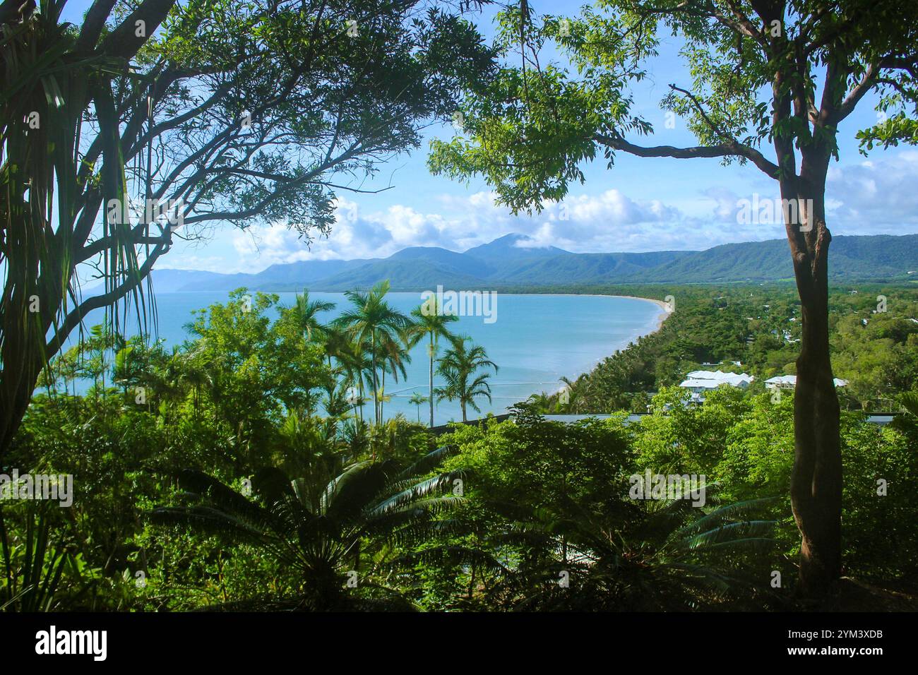 Australian greenery hi-res stock photography and images - Alamy