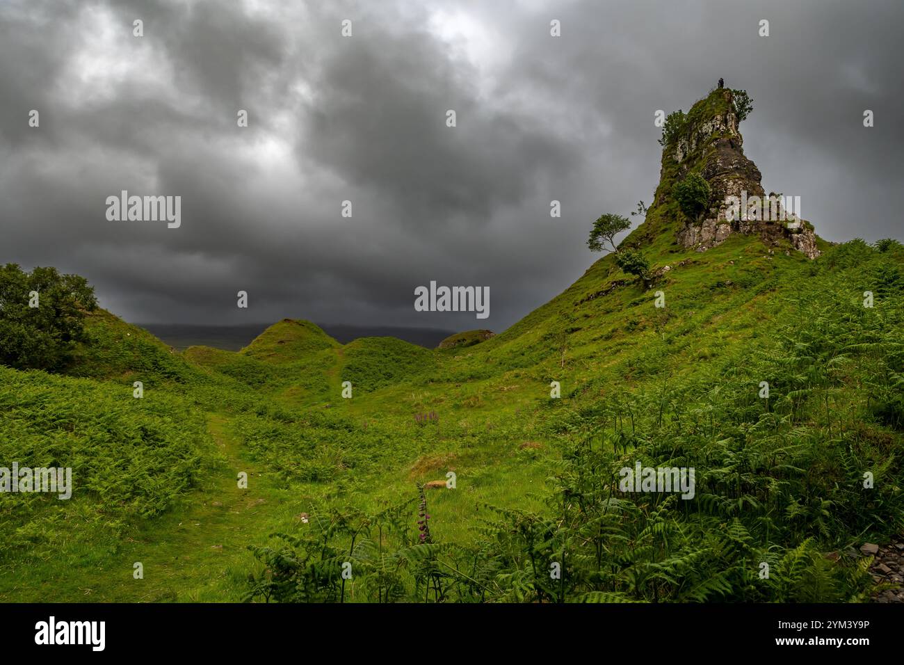 Mystic Valley Fairy Glen With Small Pools And Hills And Narrow Paths ...
