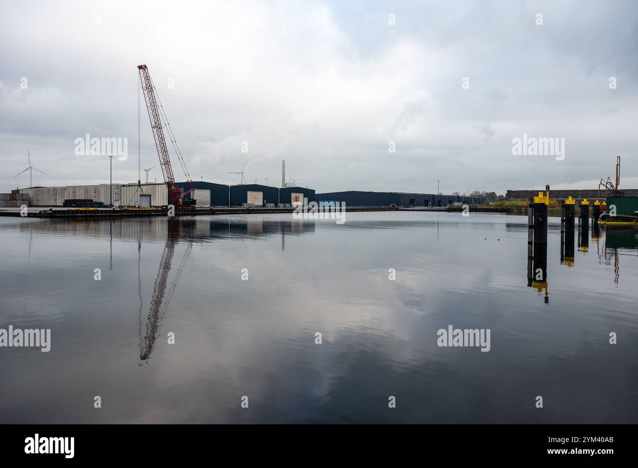 Loading cranes of the VCK Logistics company in the Bering and Suez port ...