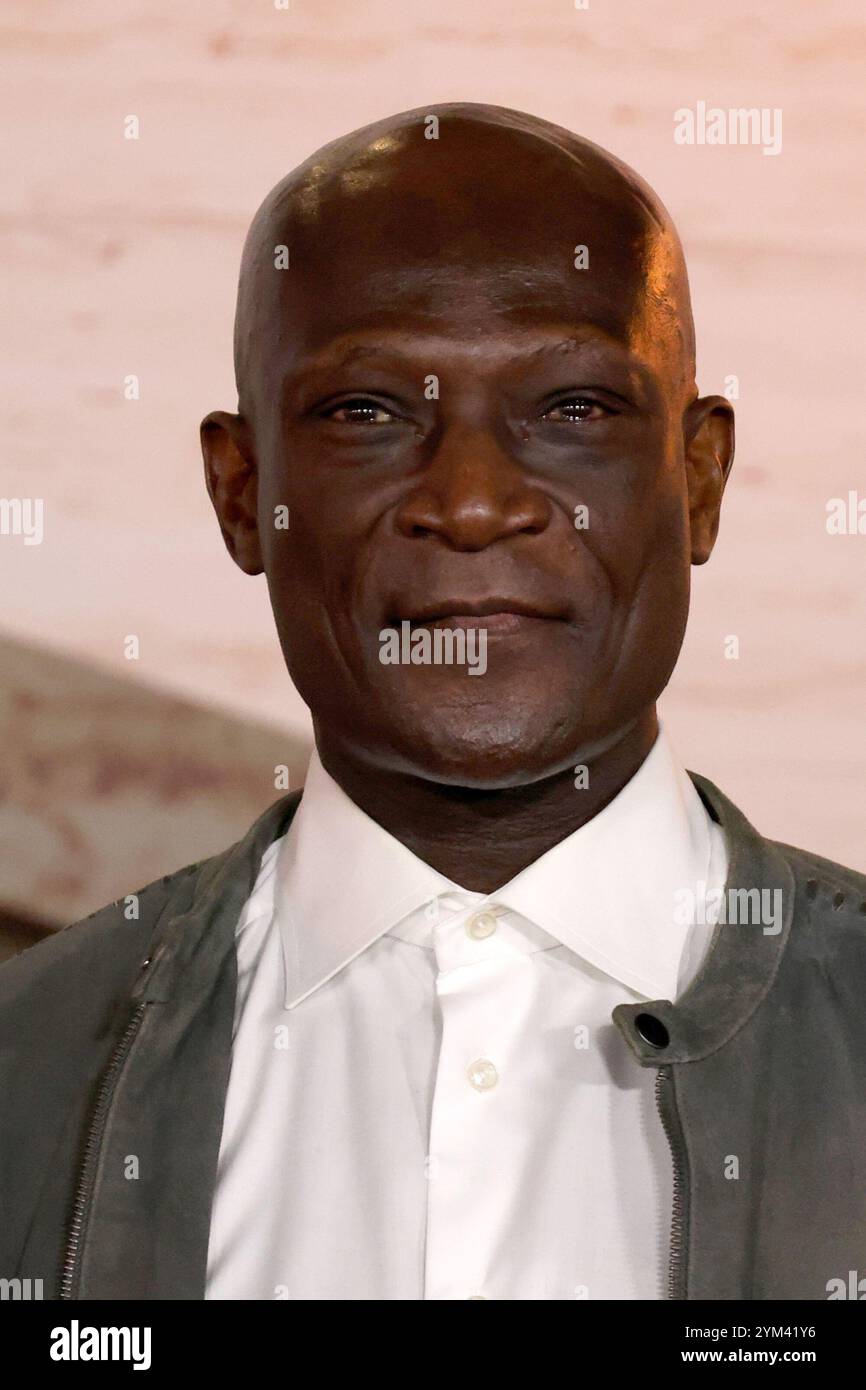 Ca. 18th Nov, 2024. Peter Mensah at arrivals for GLADIATOR II Premiere ...