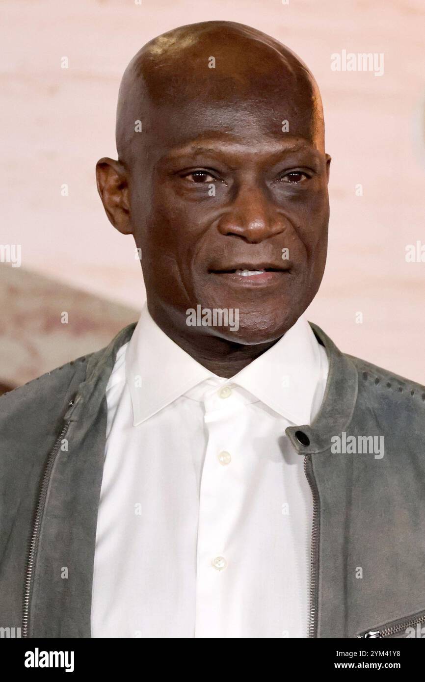 Ca. 18th Nov, 2024. Peter Mensah at arrivals for GLADIATOR II Premiere ...
