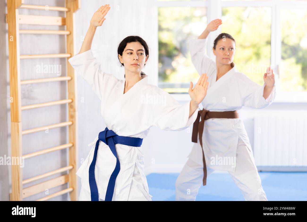 Two women training karate techniques in studio Stock Photo - Alamy