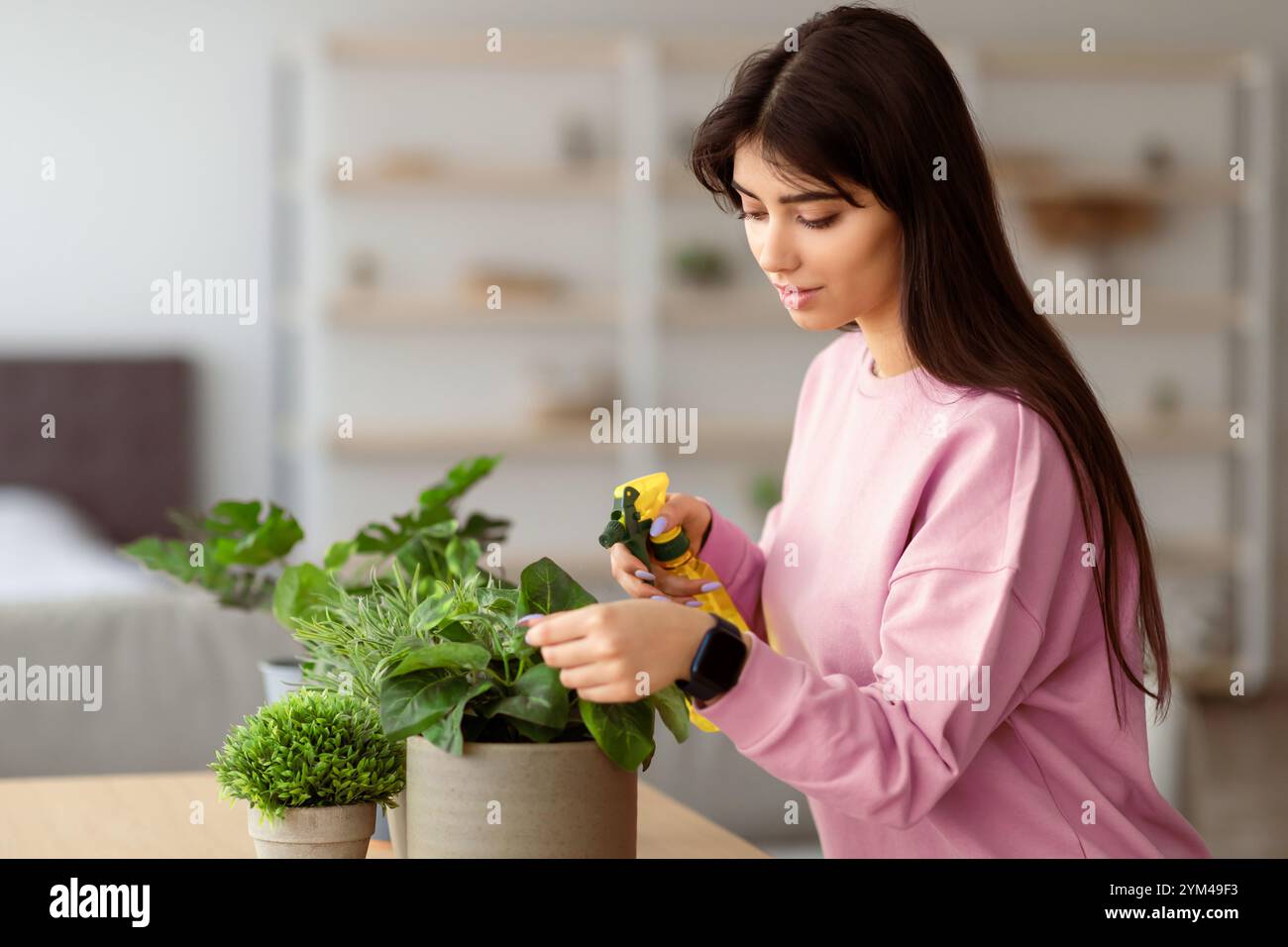 Woman spraying home plant with pure water from spray bottle Stock Photo ...