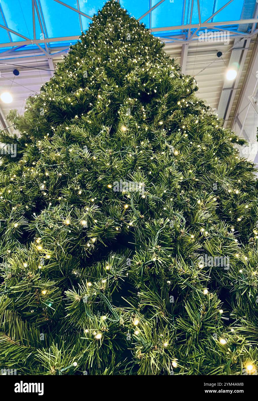 Big natural christmas lights hi-res stock photography and images - Alamy