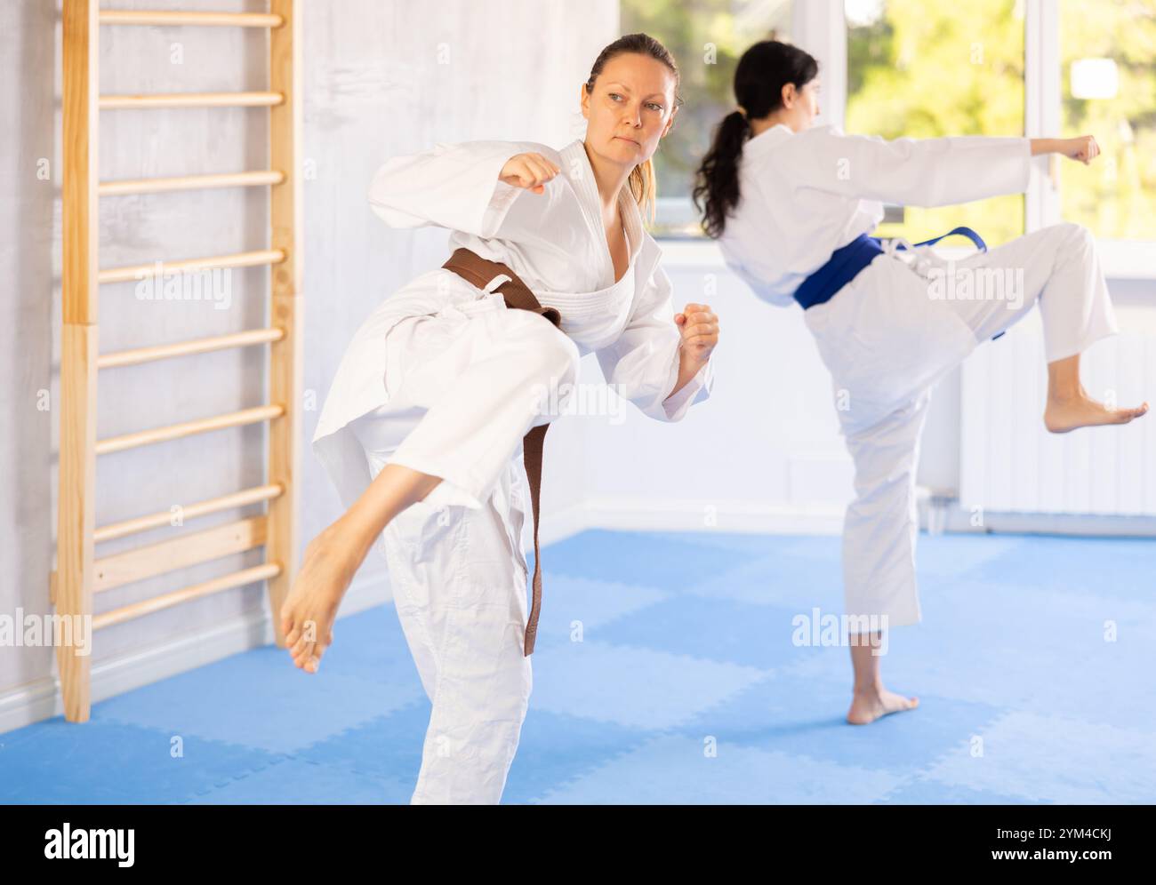perfecting their roundhouse kicks Stock Photo - Alamy
