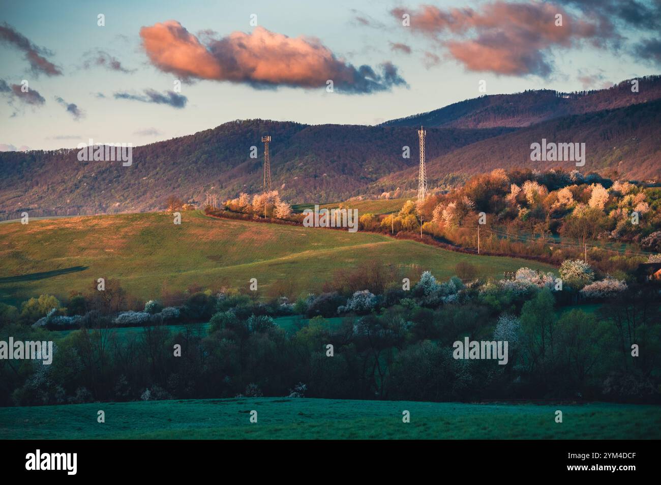 Vibrant spring landscape showcasing lush green fields and white ...