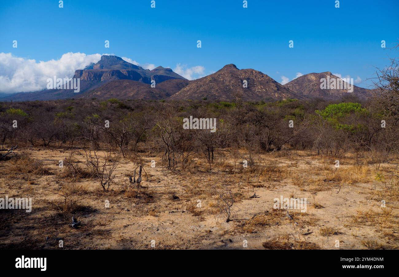 Landscape with mountain, Limpopo Province, South Africa Stock Photo - Alamy