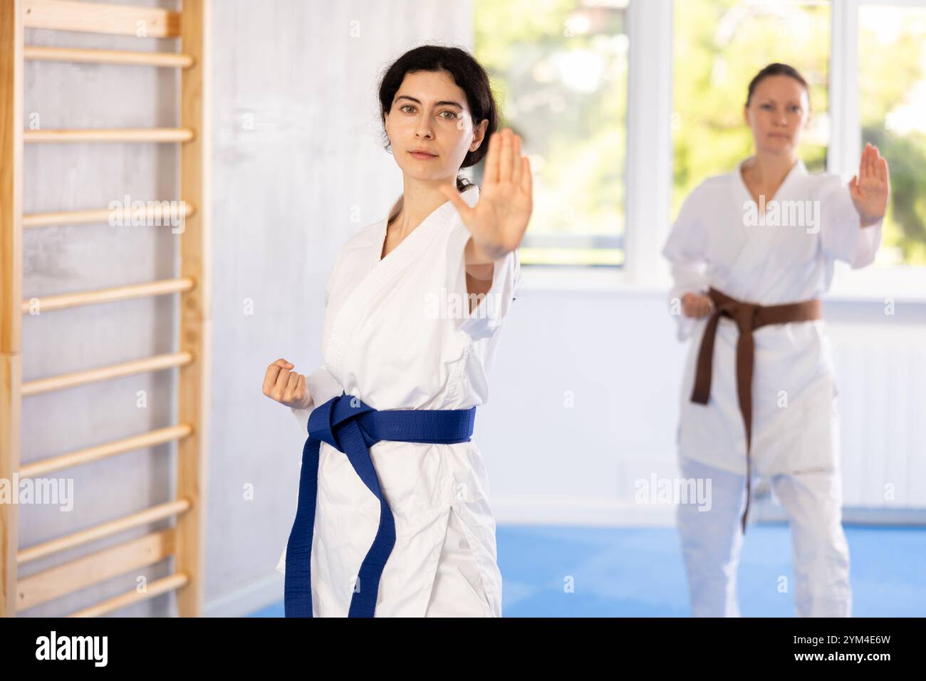 Two women training karate techniques in studio Stock Photo - Alamy