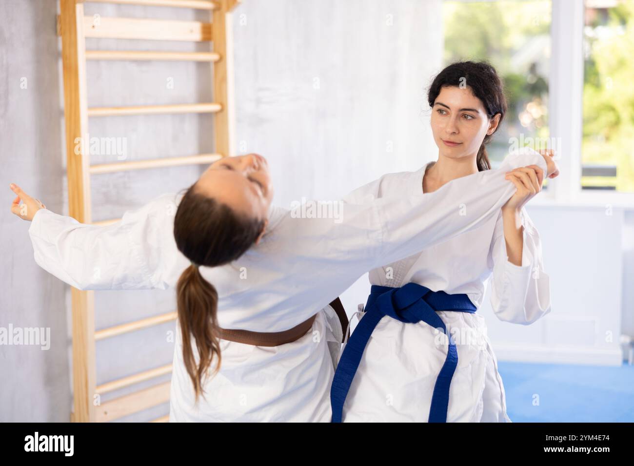 Two women training judo techniques in studio Stock Photo - Alamy