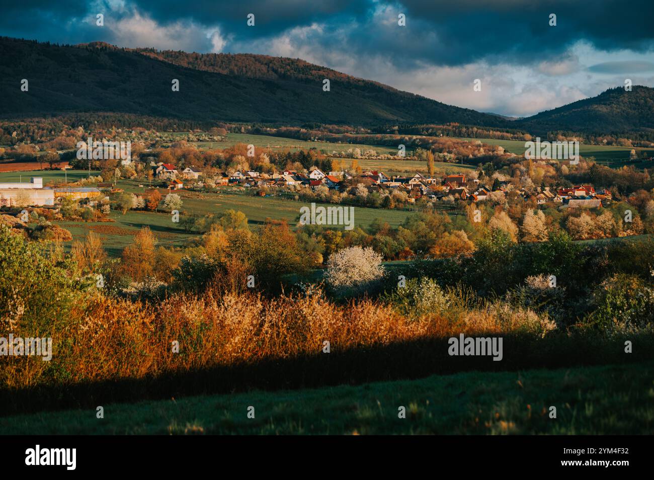 Vibrant spring landscape showcasing lush green fields and white ...