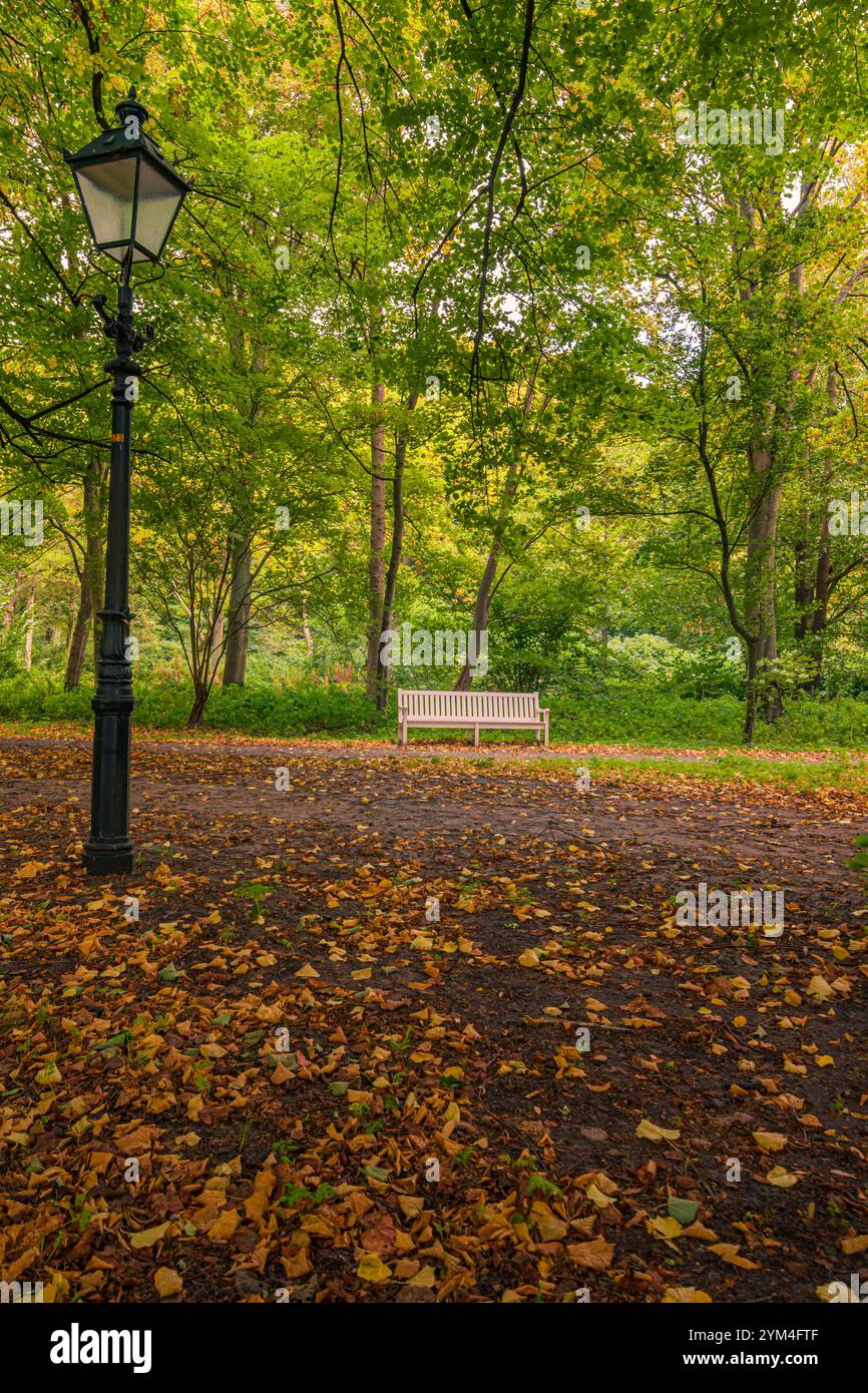 Serene autumn pathway hi-res stock photography and images - Alamy
