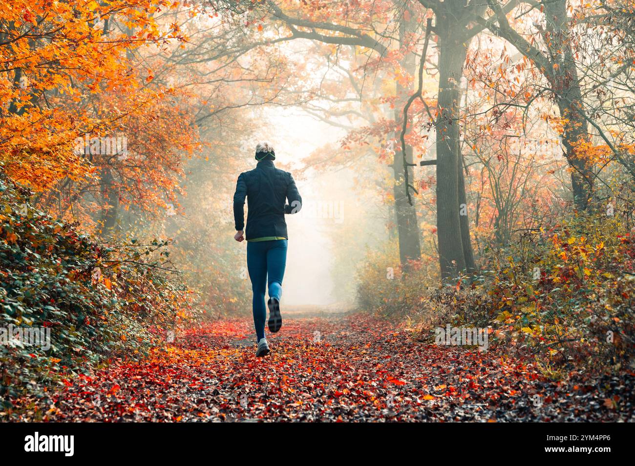 Runner Moving Through a Misty Fall Forest, Inspired by the Colors of ...