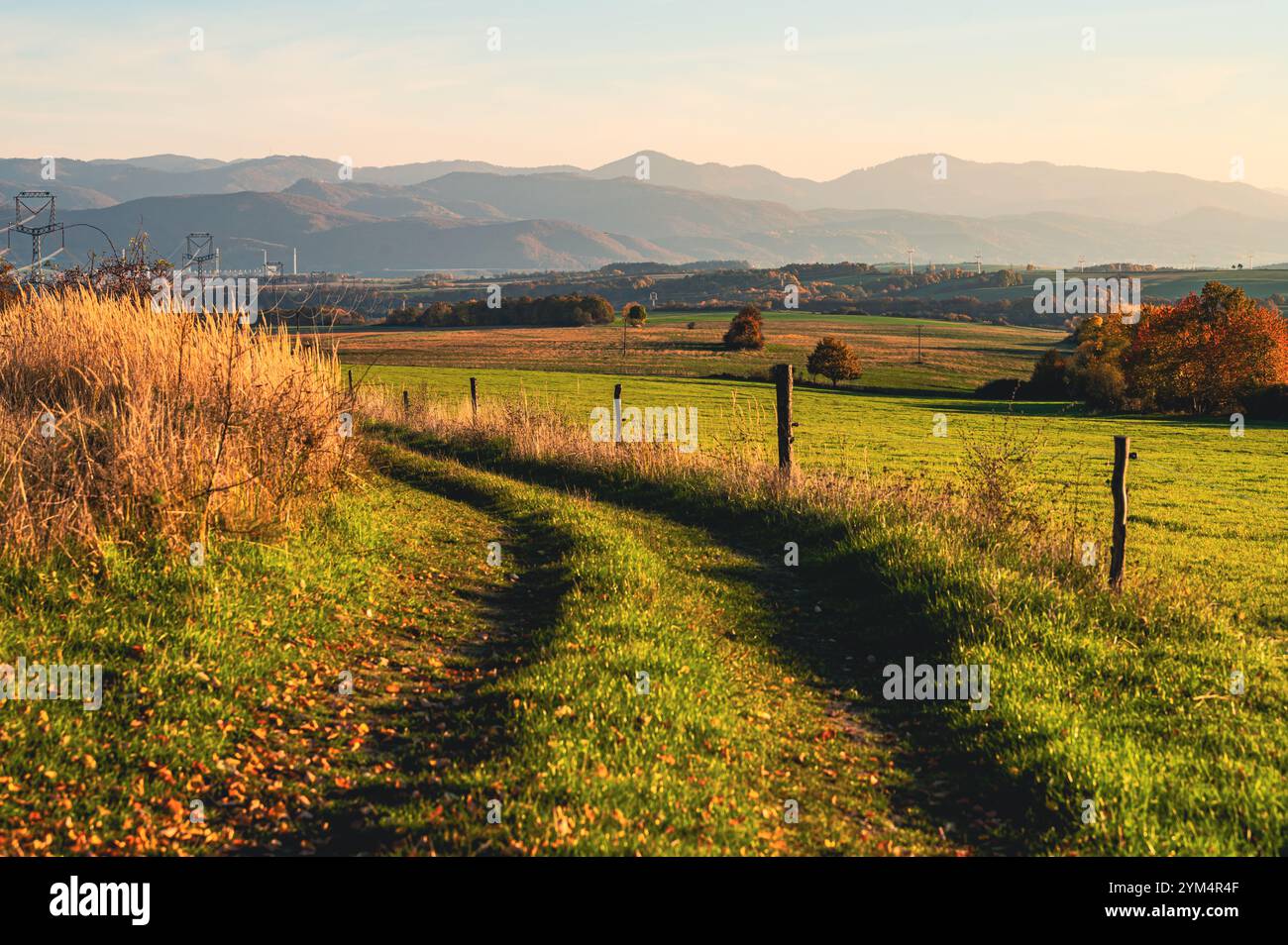 Majestic Fall Colors in the Heart of a Serene Countryside Stock Photo ...