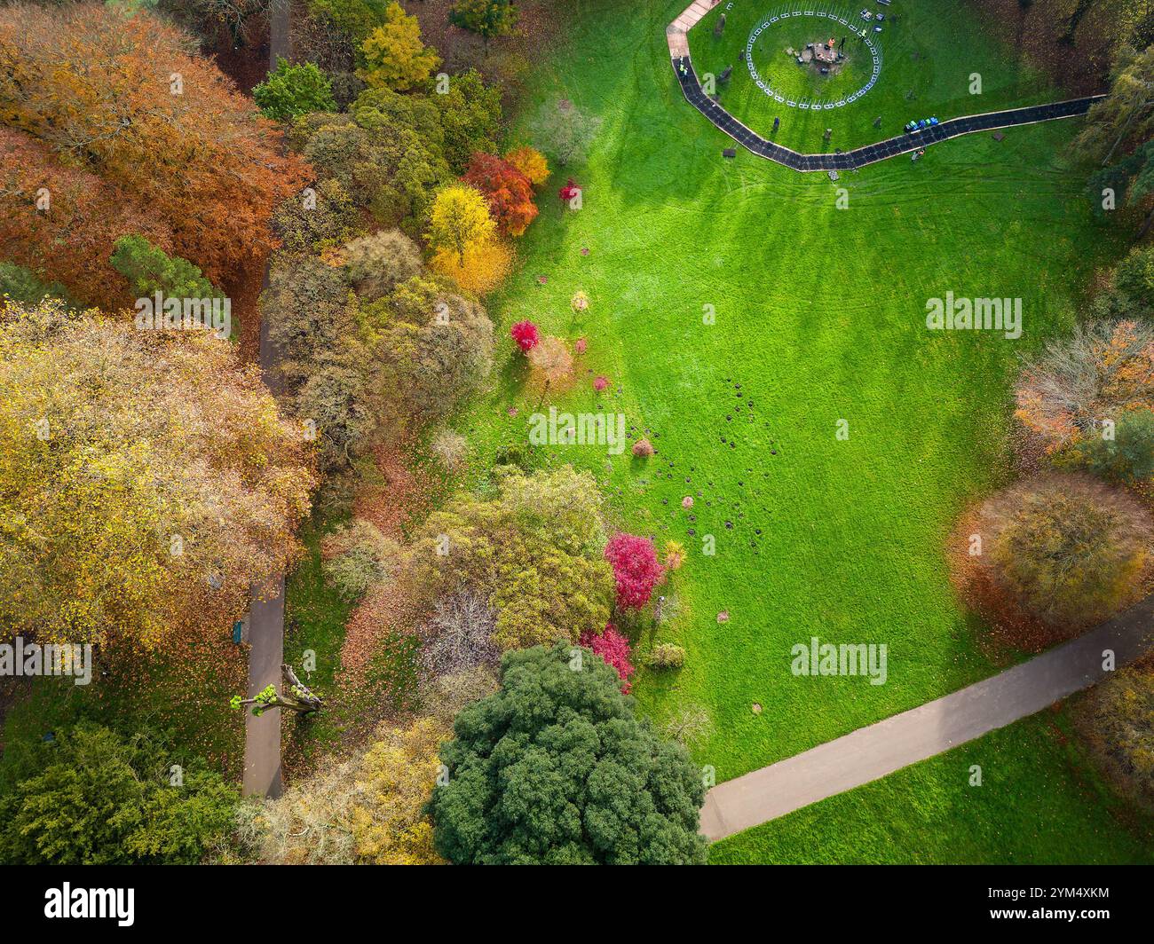 Aerial view of stunning fall foliage and trees Stock Photo - Alamy