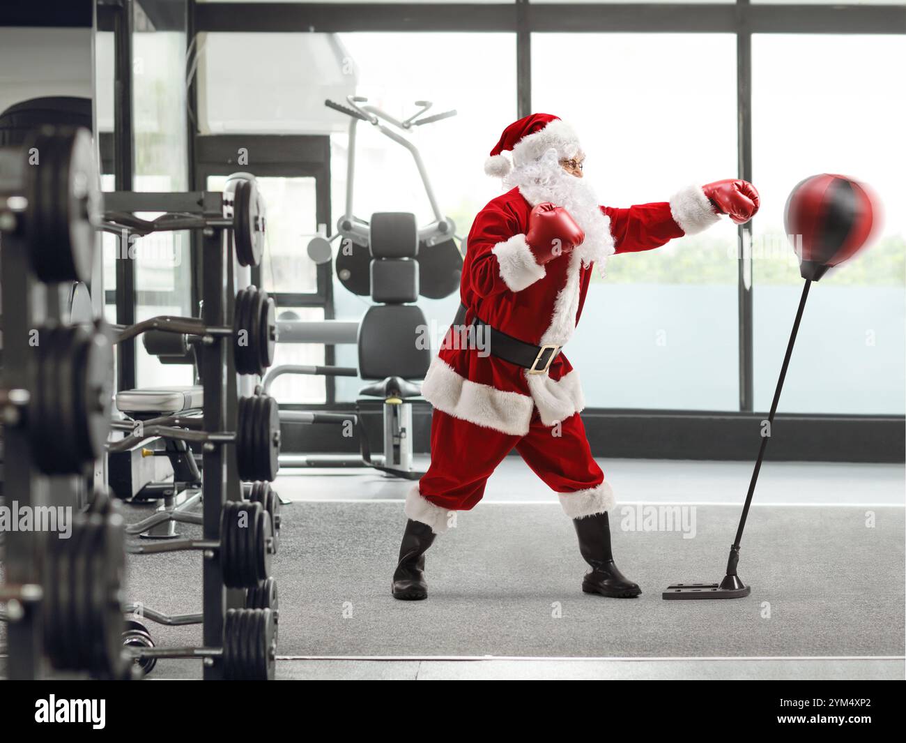 Full length profile shot of santa claus training box with a punching ...
