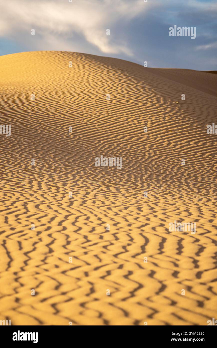 Beautiful sand patterns over untouched dune at sunset, portrait Stock ...