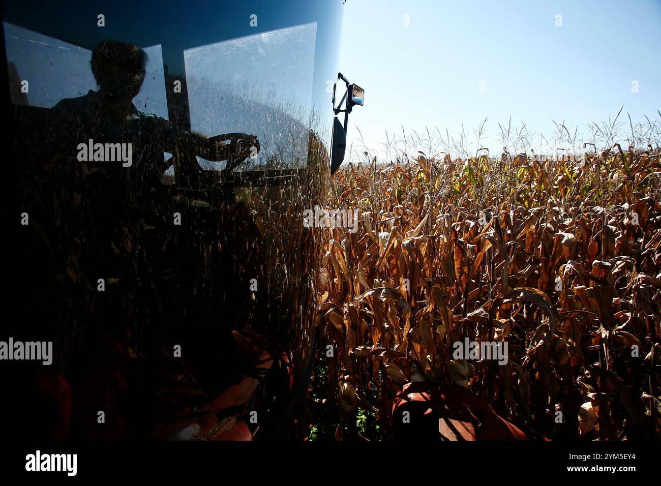 Corn - maize -harvest with tractor on countryside of Brazil Stock Photo ...