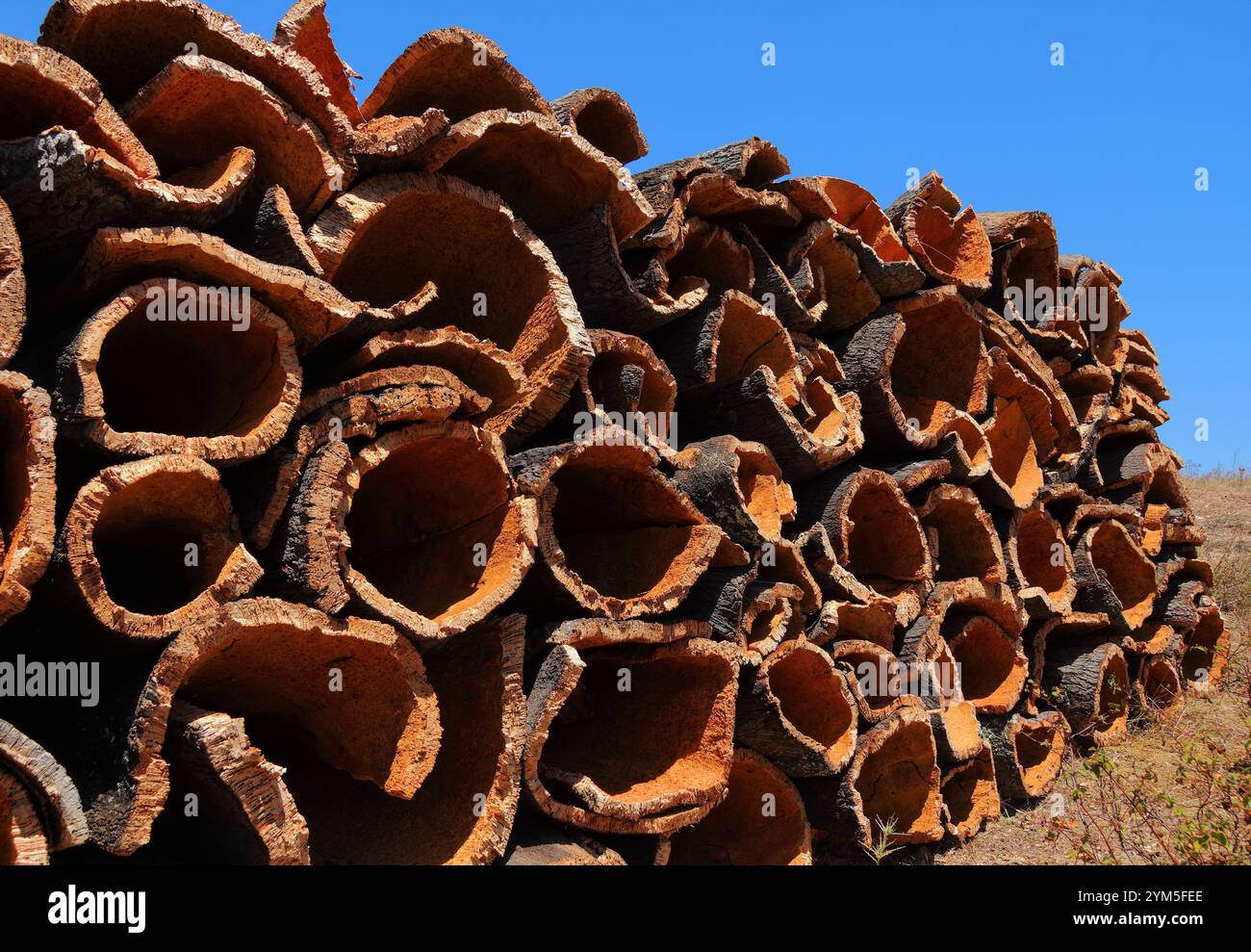 Cork bark pile hi-res stock photography and images - Alamy