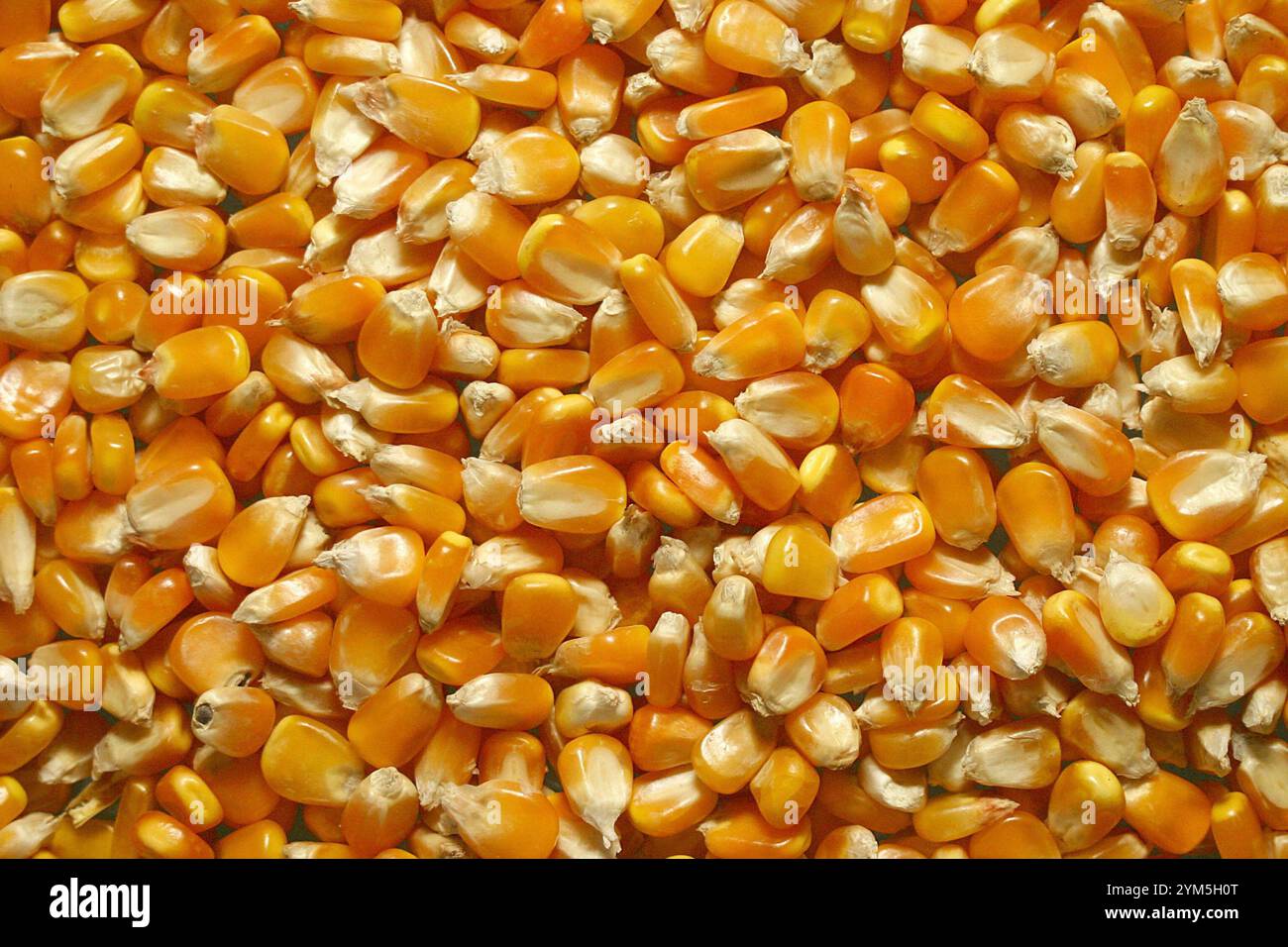 Corn economy hi-res stock photography and images - Alamy