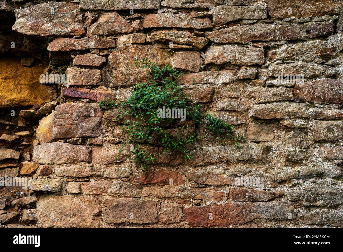 Tourism texture hi-res stock photography and images - Alamy