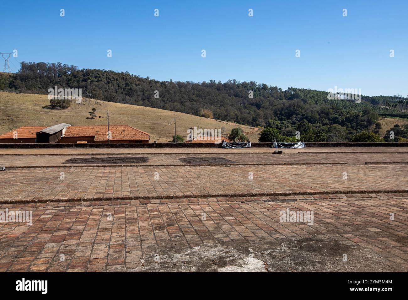 yard used during the coffee beans drying process in southeastern of ...
