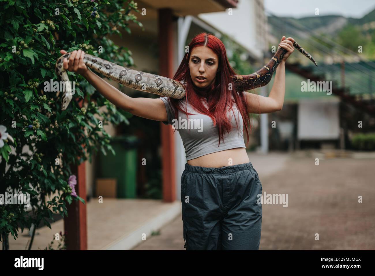 Young girl confidently handling a large snake outdoors Stock Photo - Alamy