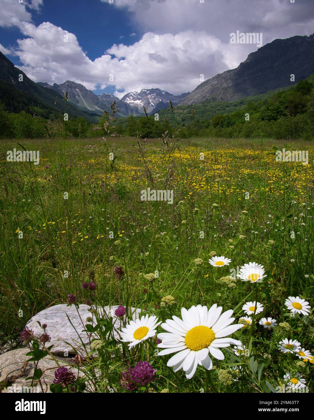 Monte sautron hi-res stock photography and images - Alamy