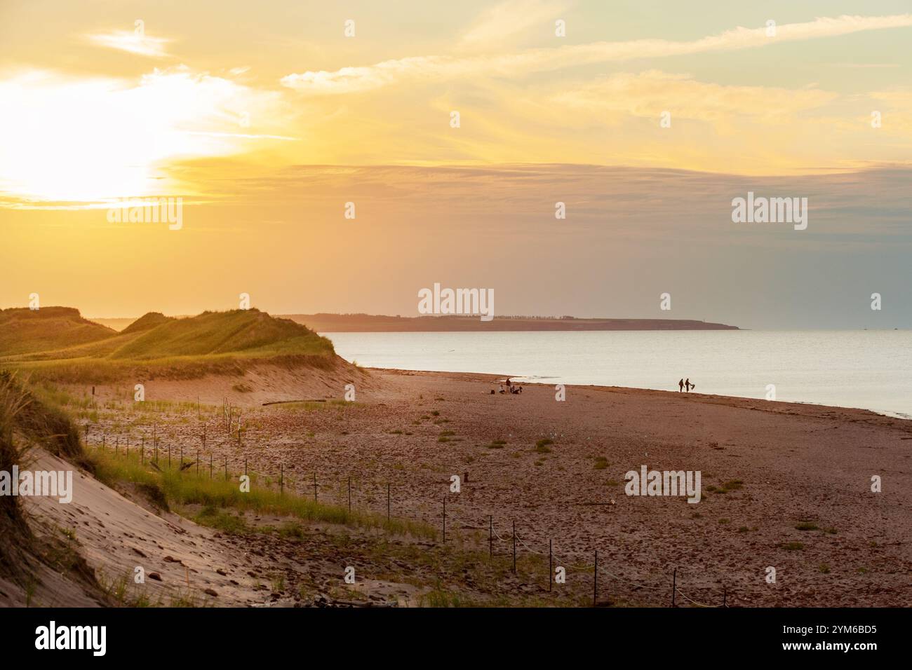 Sand dunes of Prince Edward island (PEI) Atlantic coast at sunset ...