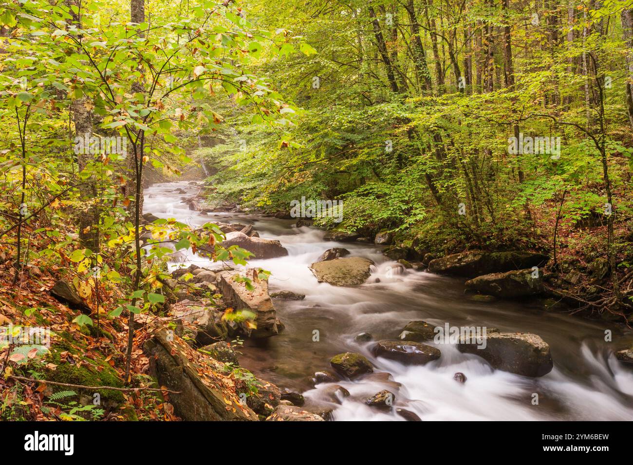 Cascade of the Little Pigeon River in the Pigeon Forge, Great Smoky ...