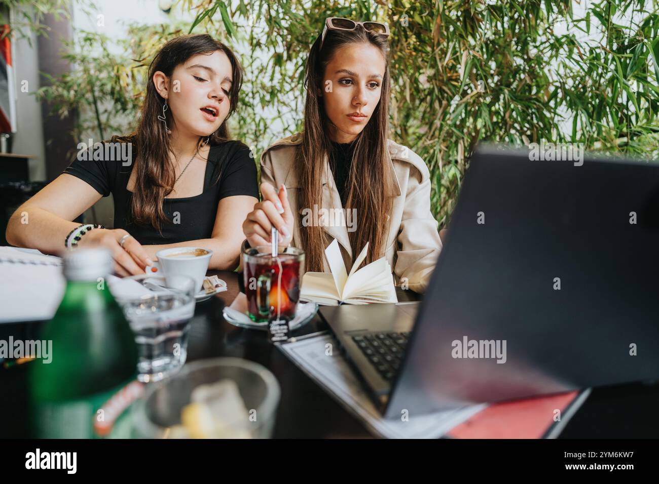 High school friends studying together in a cozy coffee bar Stock Photo ...